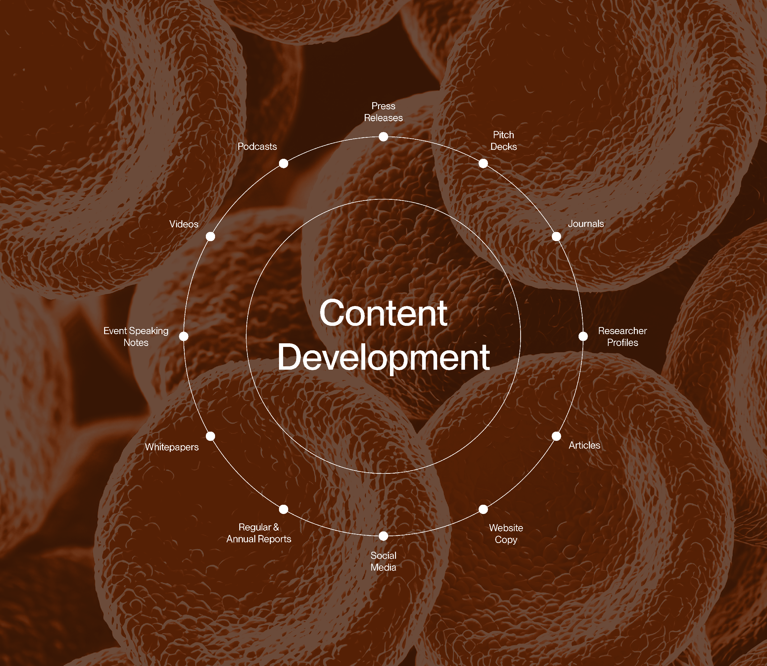 Magnetic Communications Rebrand by Elissa Stanick-Woods | Boundless Underdog Studio on Dribbble