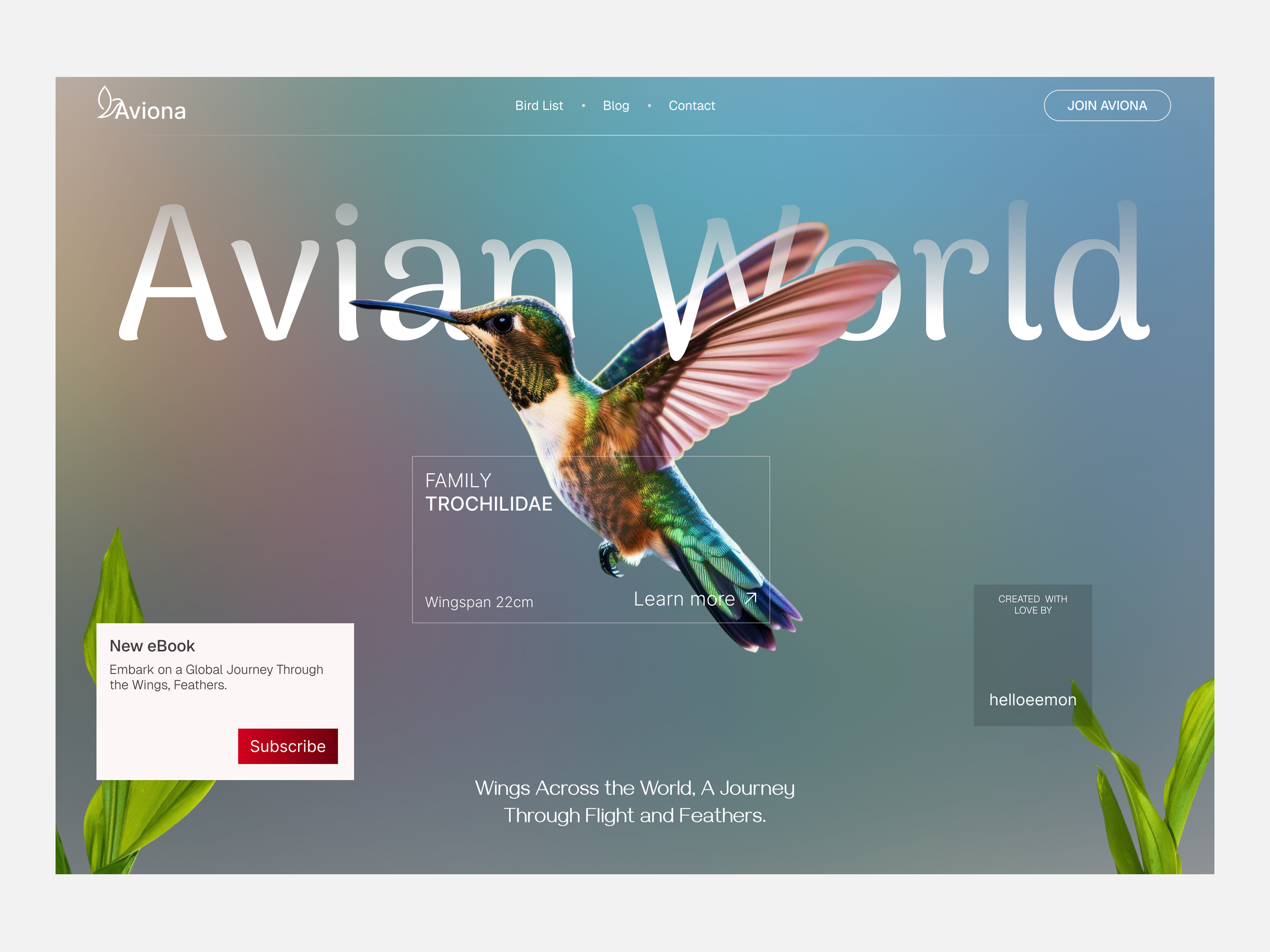 Muhammad Emon | Dribbble