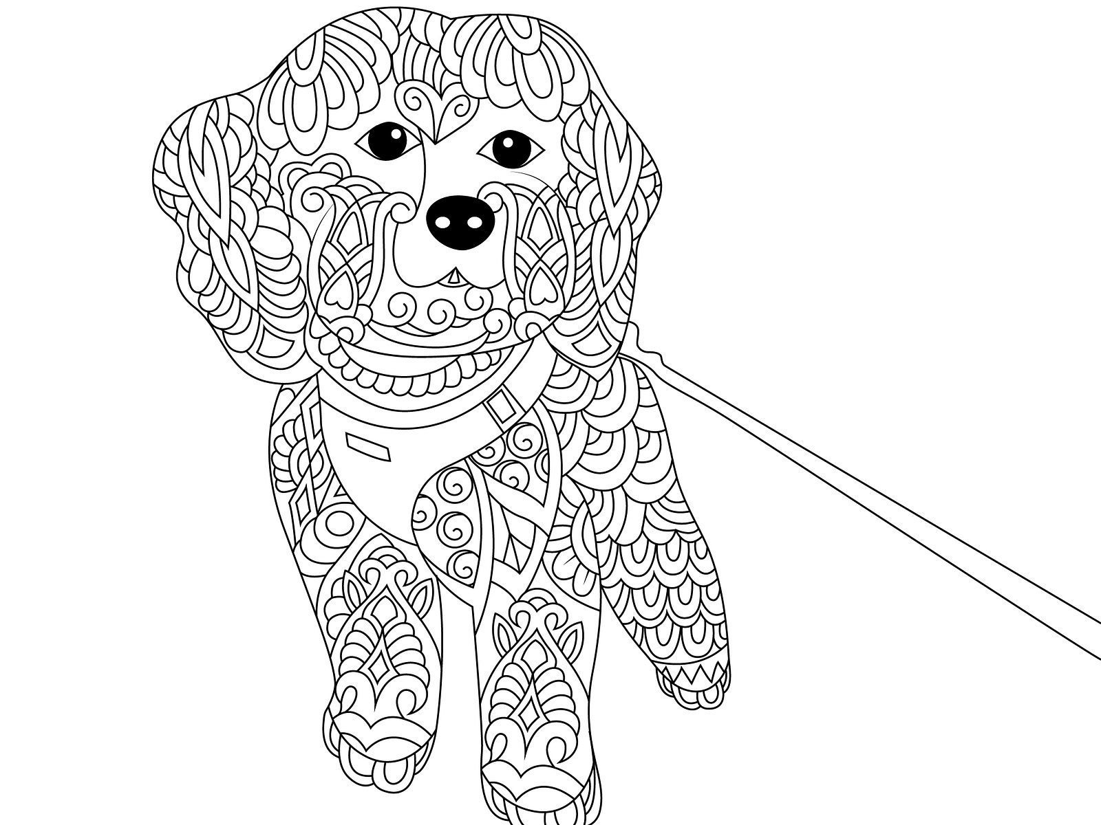 Animals by The Art Lab by Hasib on Dribbble