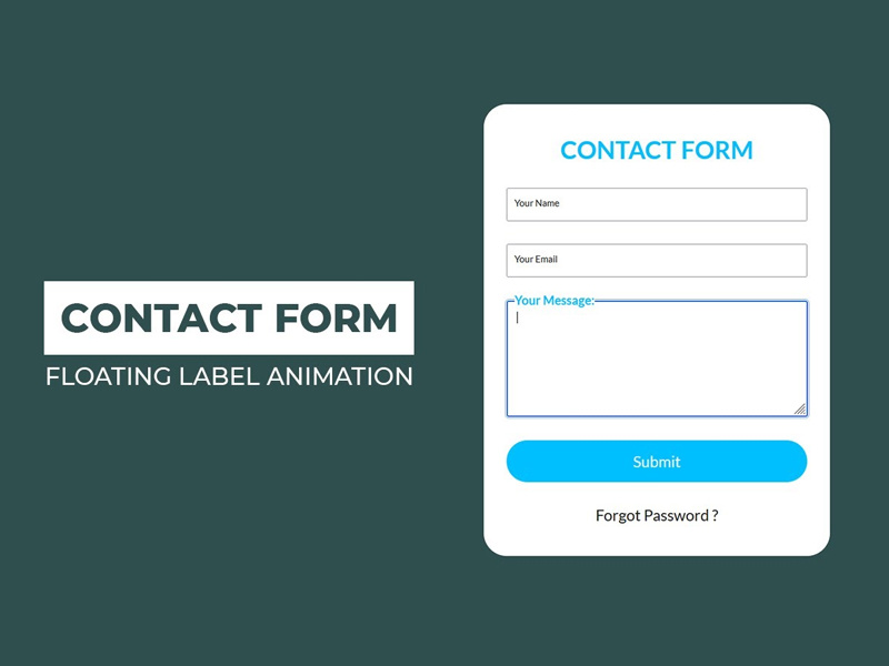 Contact Form Floating Lebel by codingflicks on Dribbble