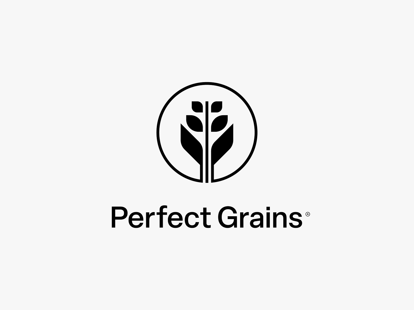 Perfect Grains by Amit Sarangal on Dribbble