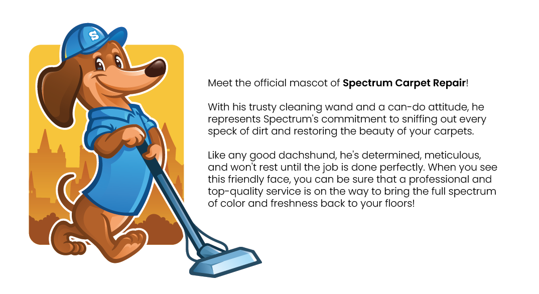 SPECTRUM CARPET CLEANING Brand Identity by Hassan Yazid on Dribbble