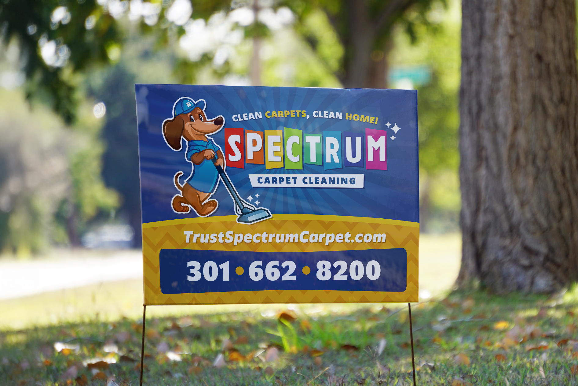 SPECTRUM CARPET CLEANING Brand Identity by Hassan Yazid on Dribbble