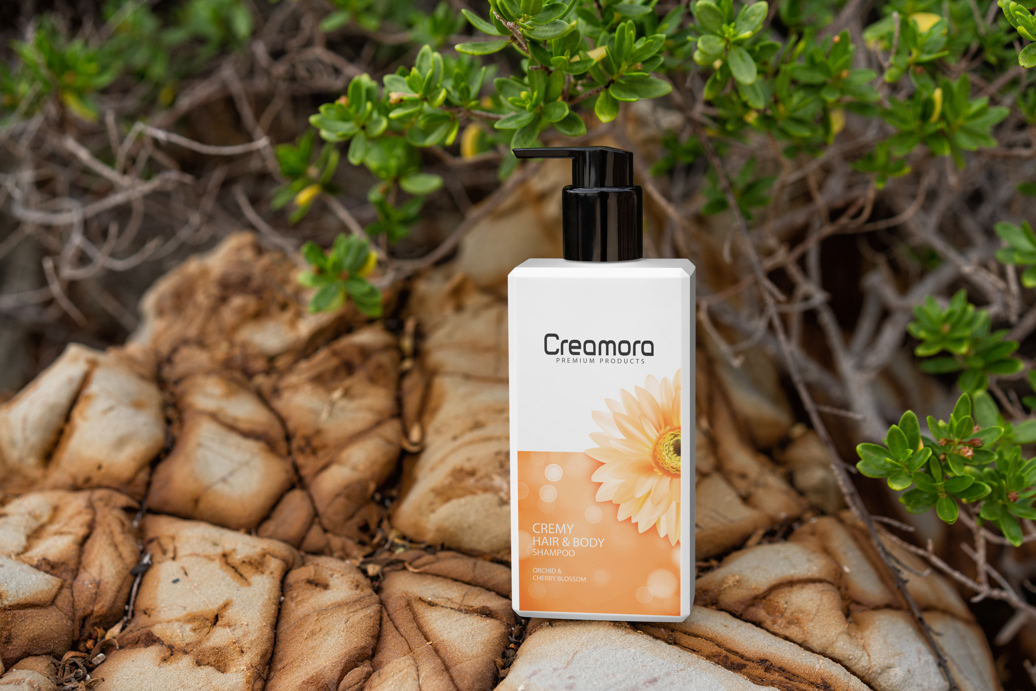 Creamora - Packaging Design by MD Mahabub Sharif on Dribbble