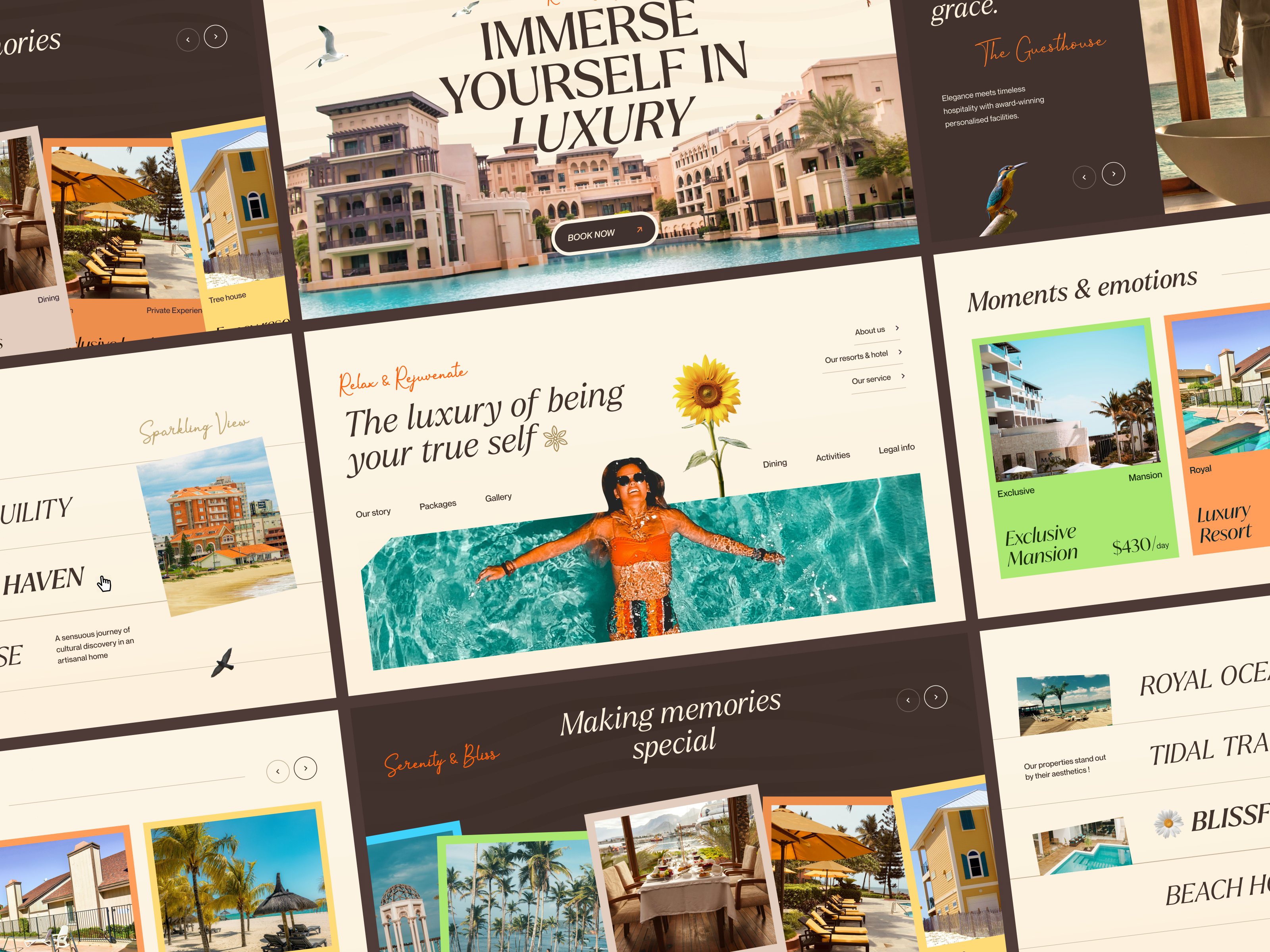 Resort Website designs, themes, templates and downloadable graphic ...