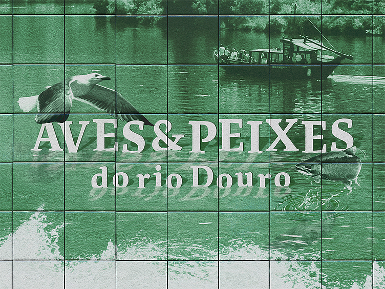 Aves & Peixes do Rio Douro – Foldable Field Guide by Nuno Queiroz ...