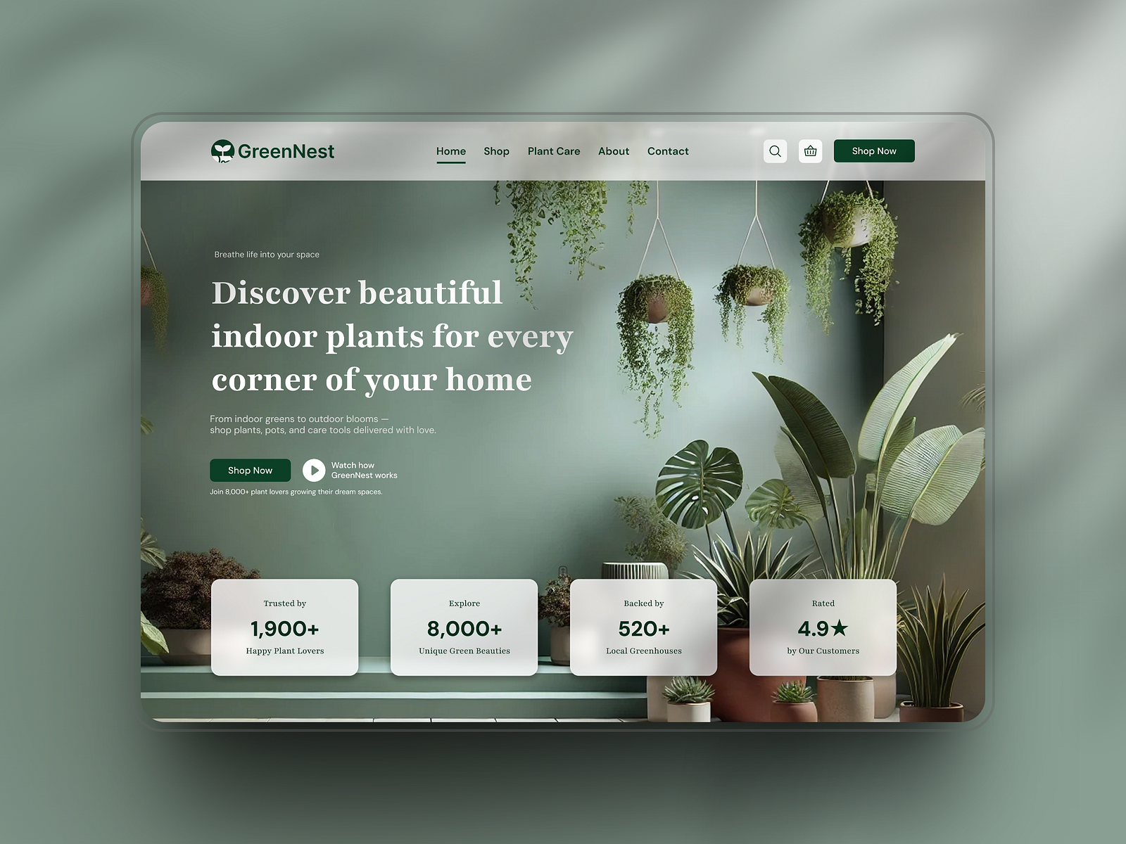 Clean & Minimal Plant Store Design by Hasan Sajjad ‌ on Dribbble