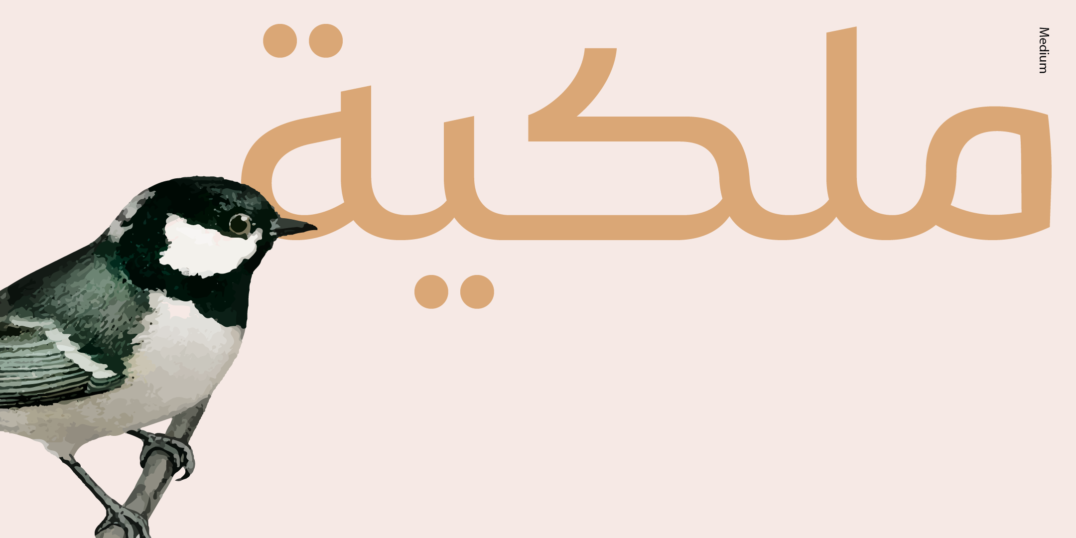layla Arabic typeface – خط ليلى ارابيك by Iwantype on Dribbble