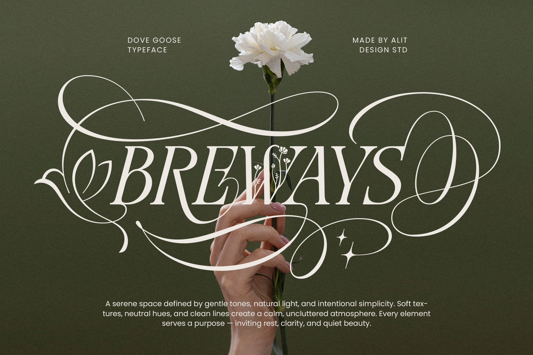 Dove and Goose Typeface by alit design studio on Dribbble
