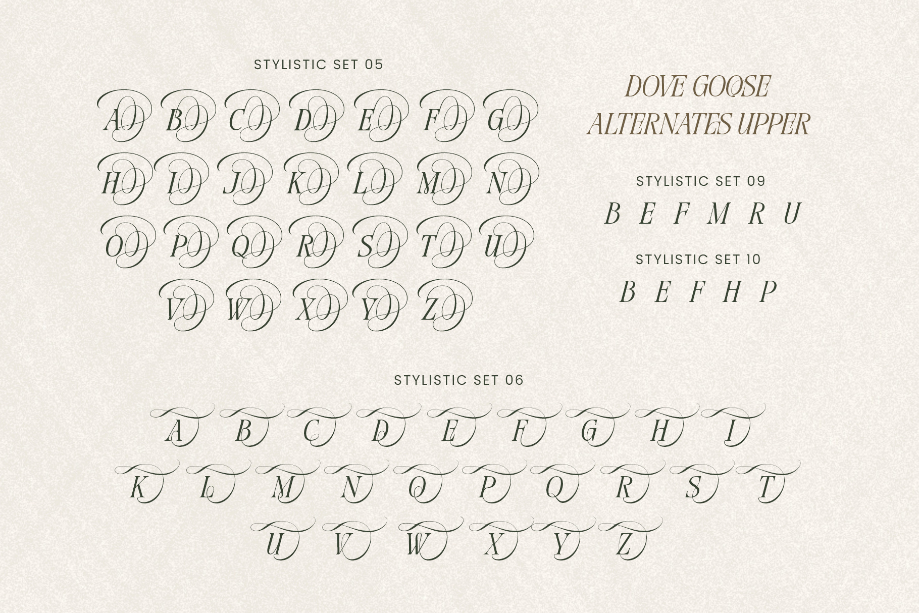 Dove and Goose Typeface by alit design studio on Dribbble