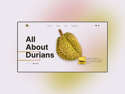Durian Design 🥭 by Lina on Dribbble