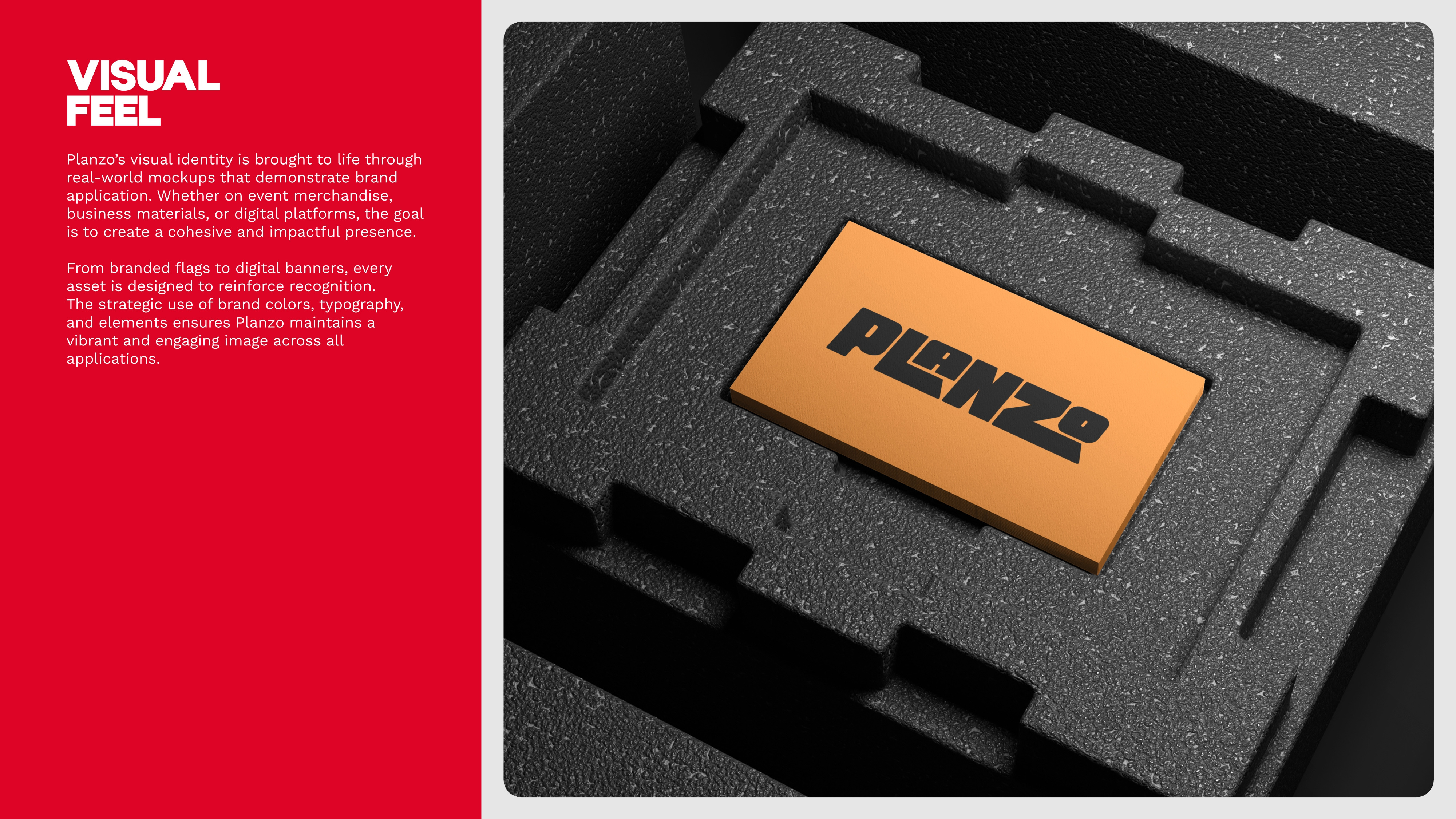 Planzo Brand Guidelines by Versatile Kabir on Dribbble