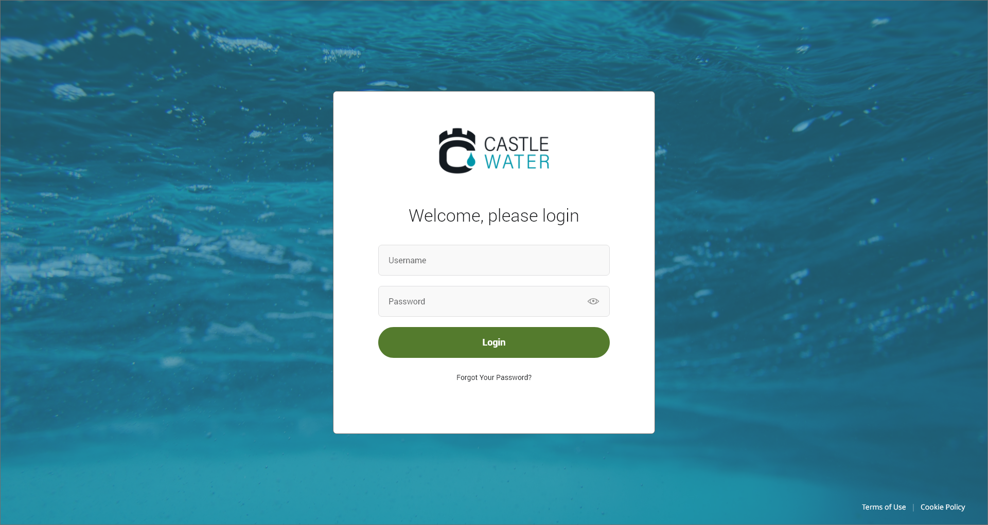 Castle Water Customer Portal by Deni Colmant for Monochrome on Dribbble