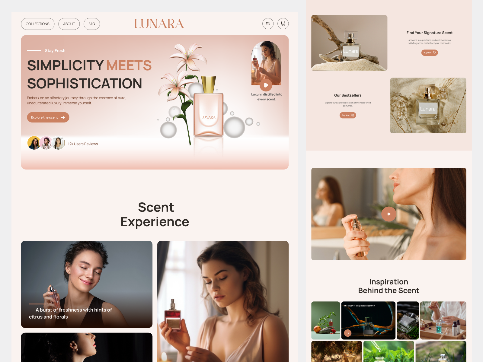 Perfume Sell Store Website by Bilash Roy on Dribbble