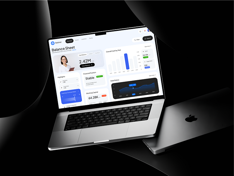 AIZ Balshet - Washington Balance Sheet Dashboard by Jez Simatupang for ...