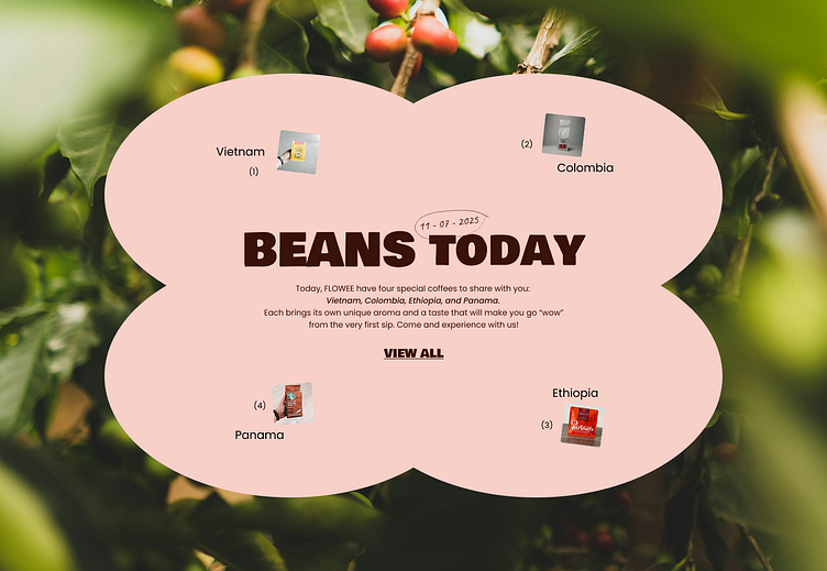 Flowee – Coffee Beans, Brewing Tools & Community Website Design by Thu ...