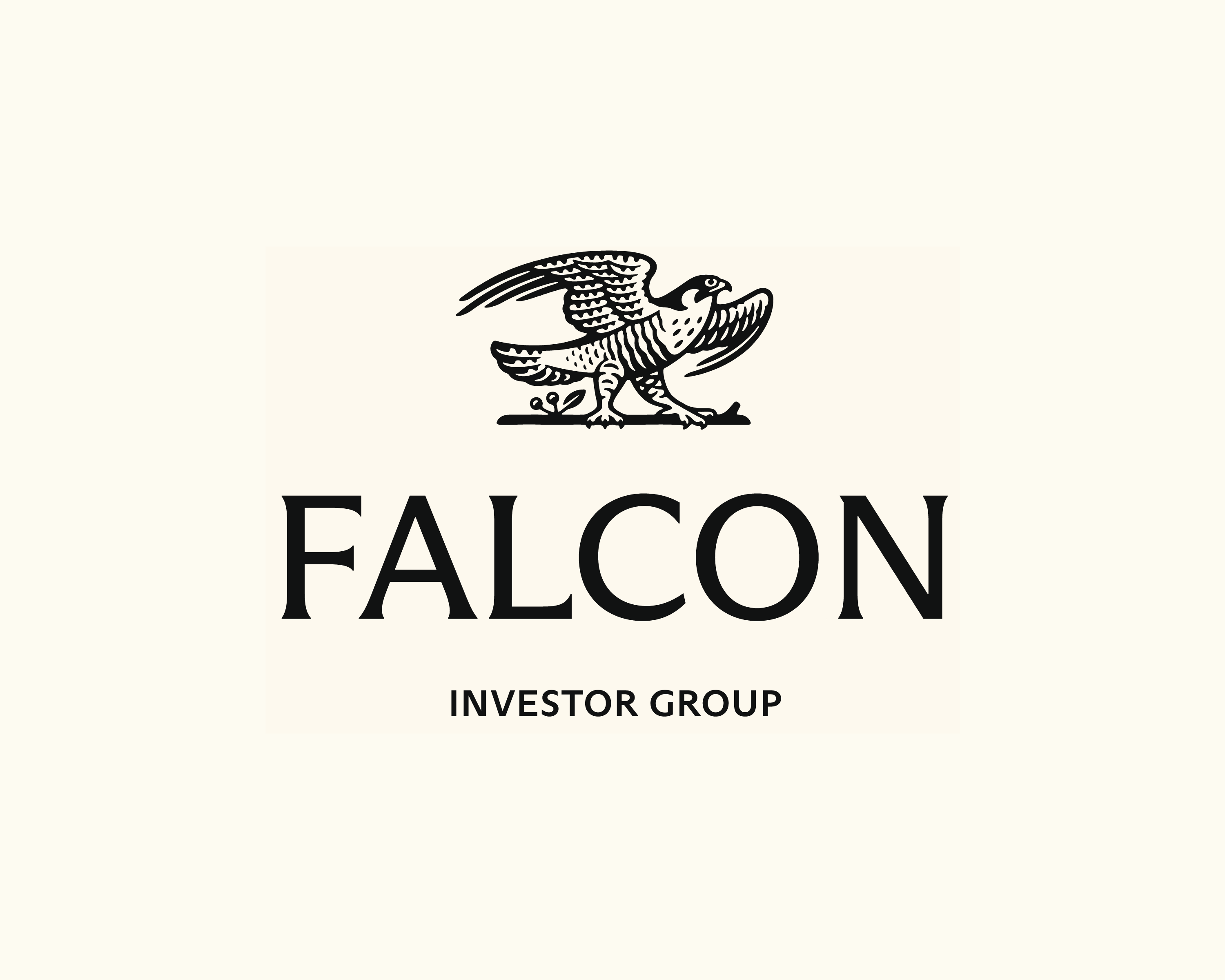 Falcon Investment Group by Yondr Studio on Dribbble