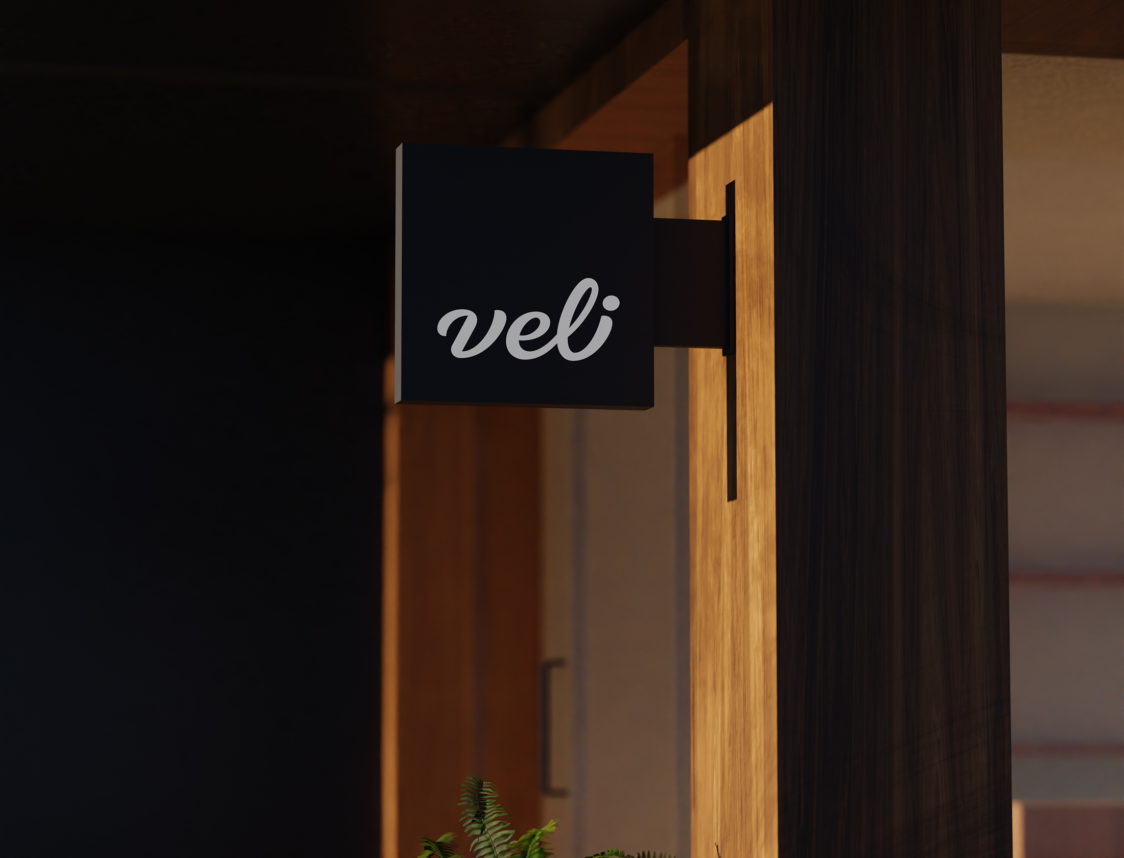 Veli Identity Design by Wells Collins on Dribbble