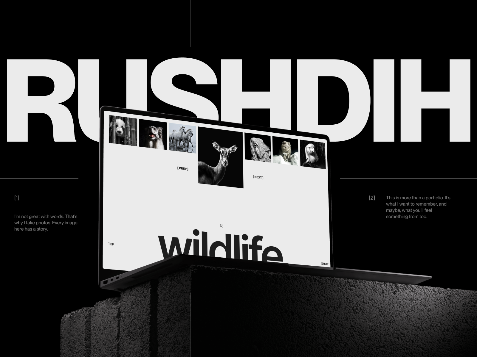Wildlife Photography Portfolio | RUSHDIH by Ahmad Dimas 🞾 on Dribbble