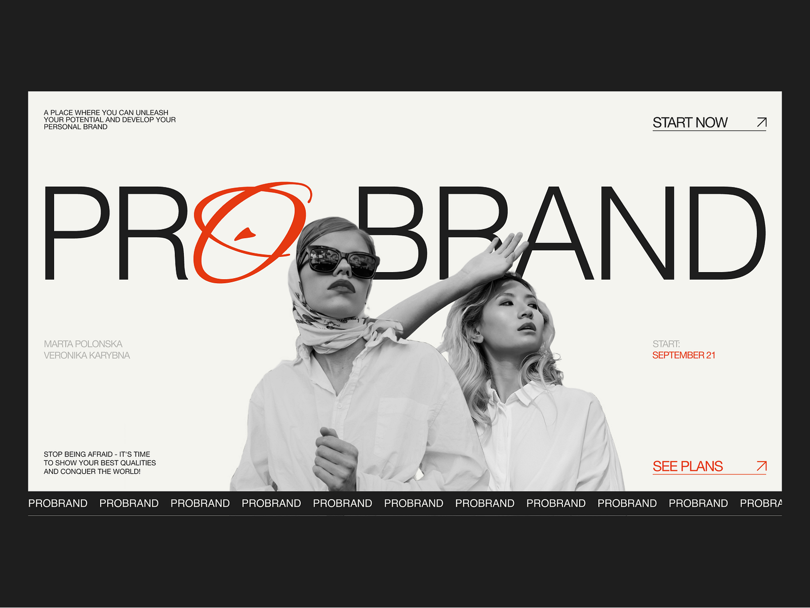 PROBRAND - website for personal brand development course by Sasha ...