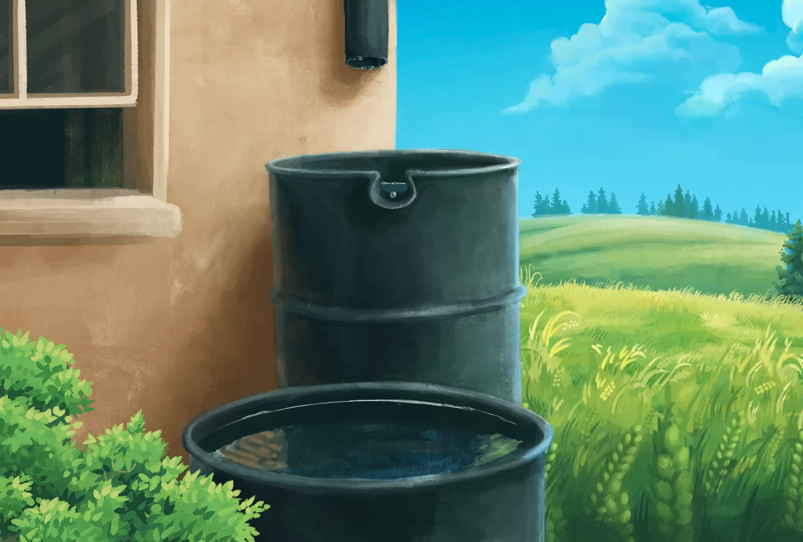 Rainwater collection by caraodo on Dribbble