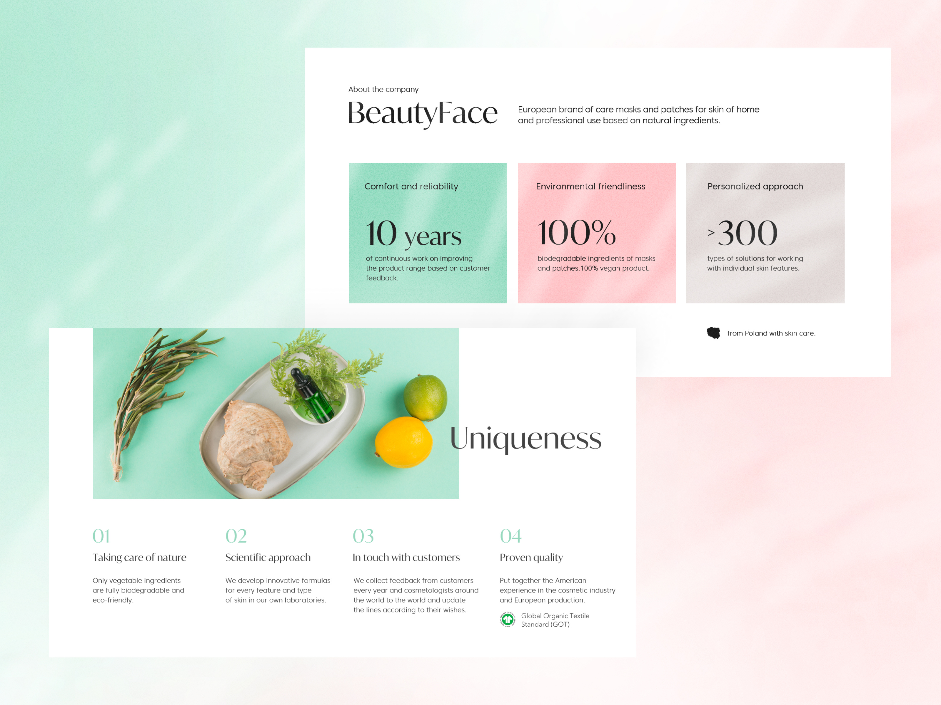 Pitch Deck for BeautyFace by Tanya Felsheruk on Dribbble