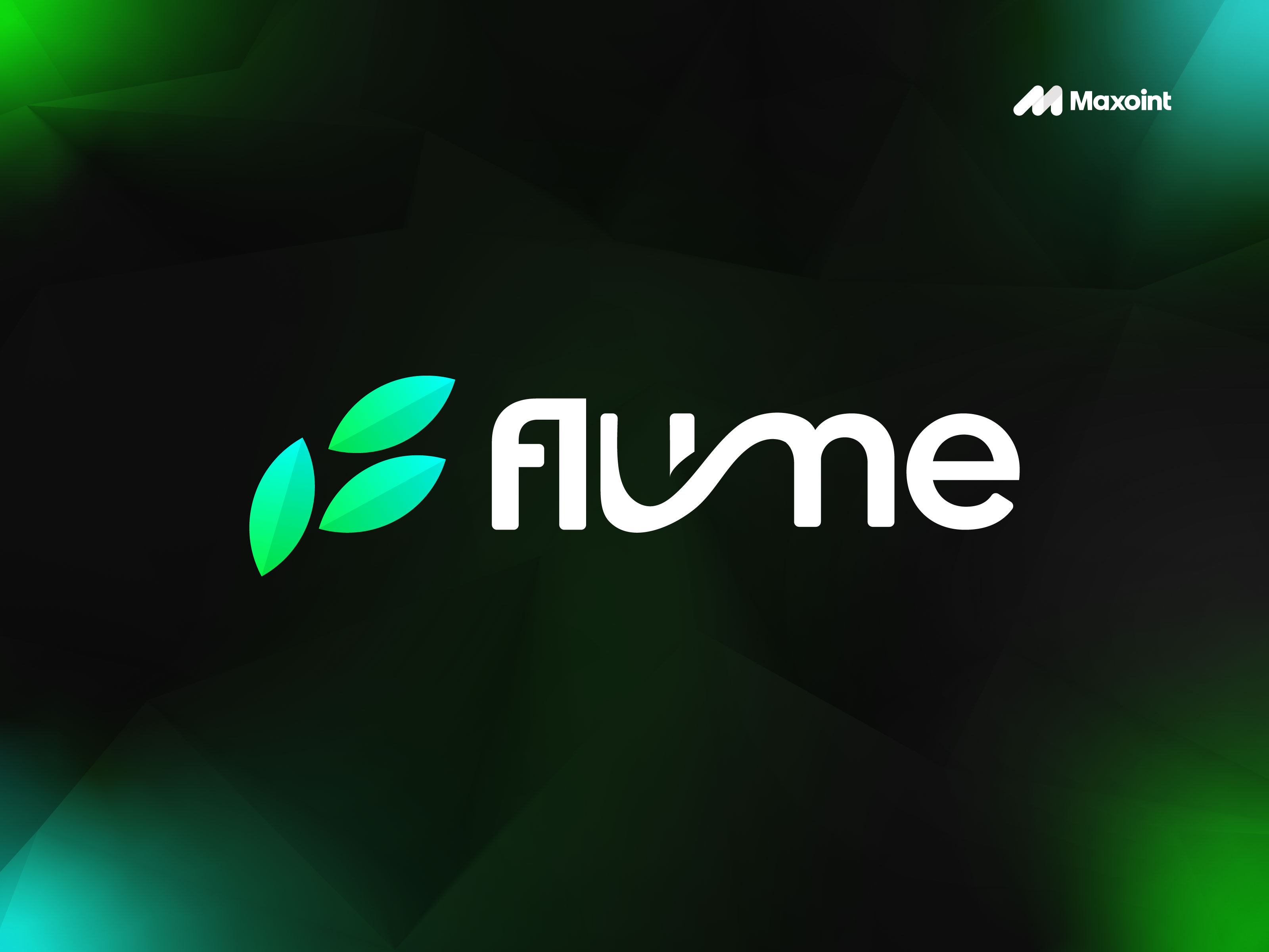 Flume Logo Design & Brand Identity Guidelines by Maxoint on Dribbble