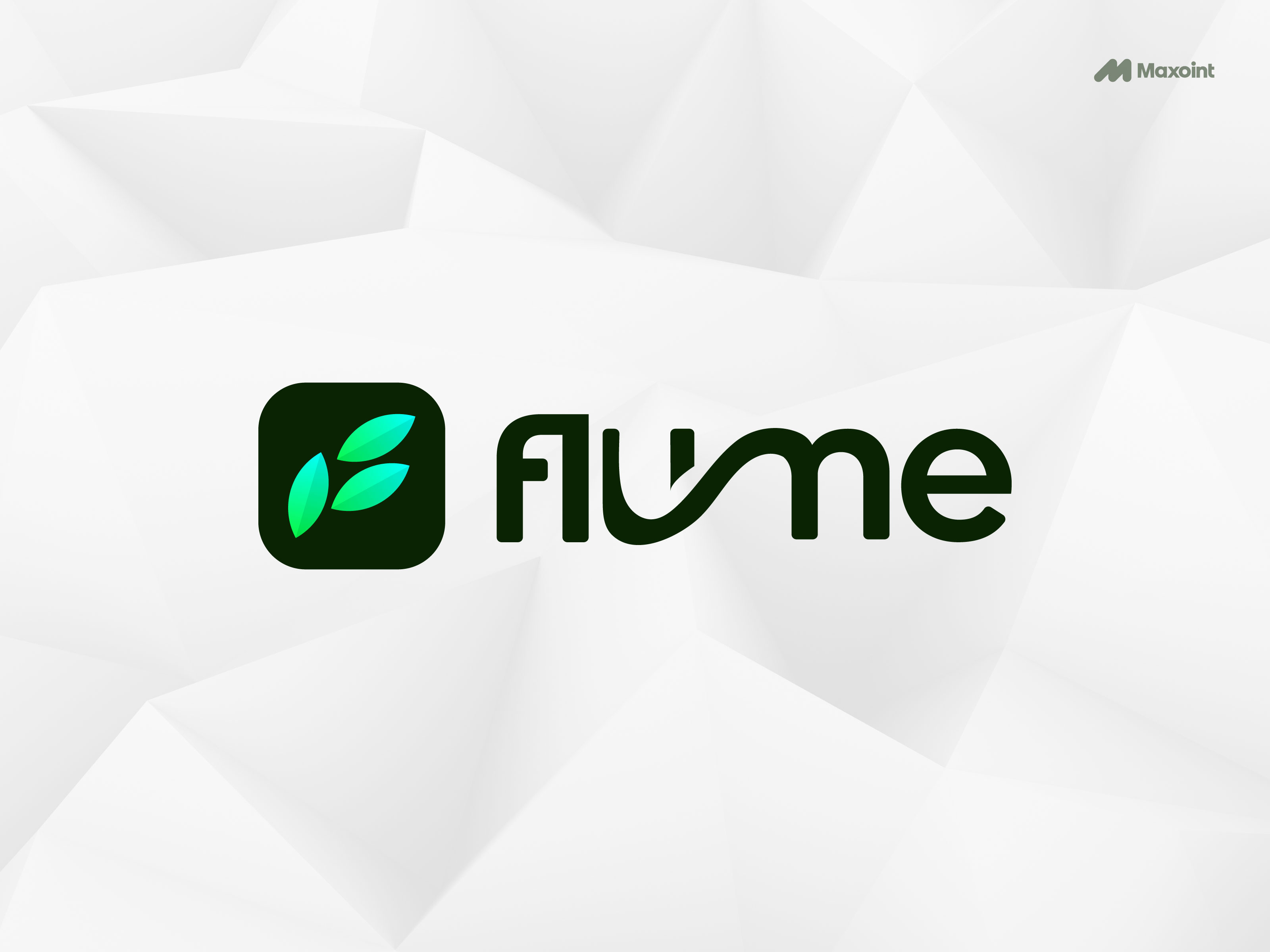 Flume Logo Design & Brand Identity Guidelines by Maxoint on Dribbble