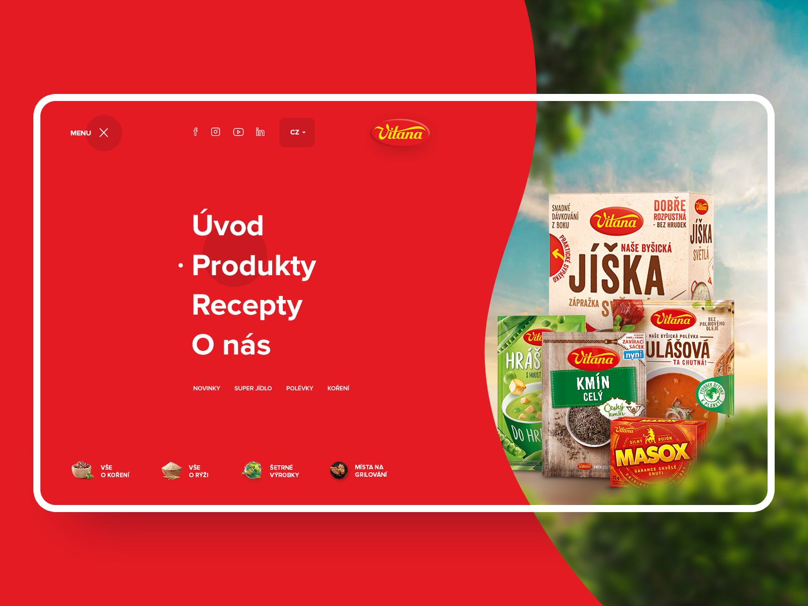 Vitana Website Redesign by inCUBE on Dribbble