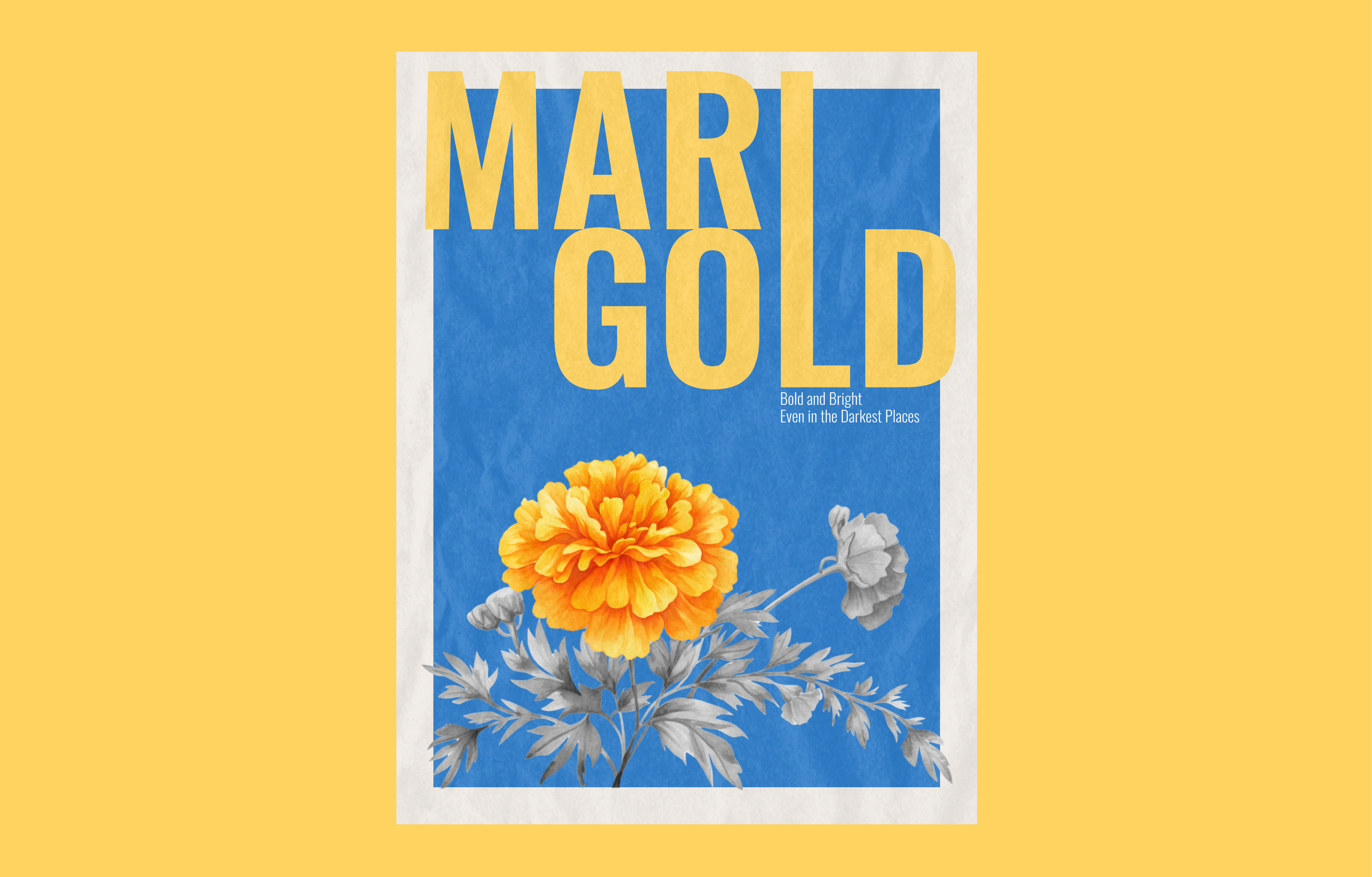 Browse thousands of Marigold images for design inspiration | Dribbble