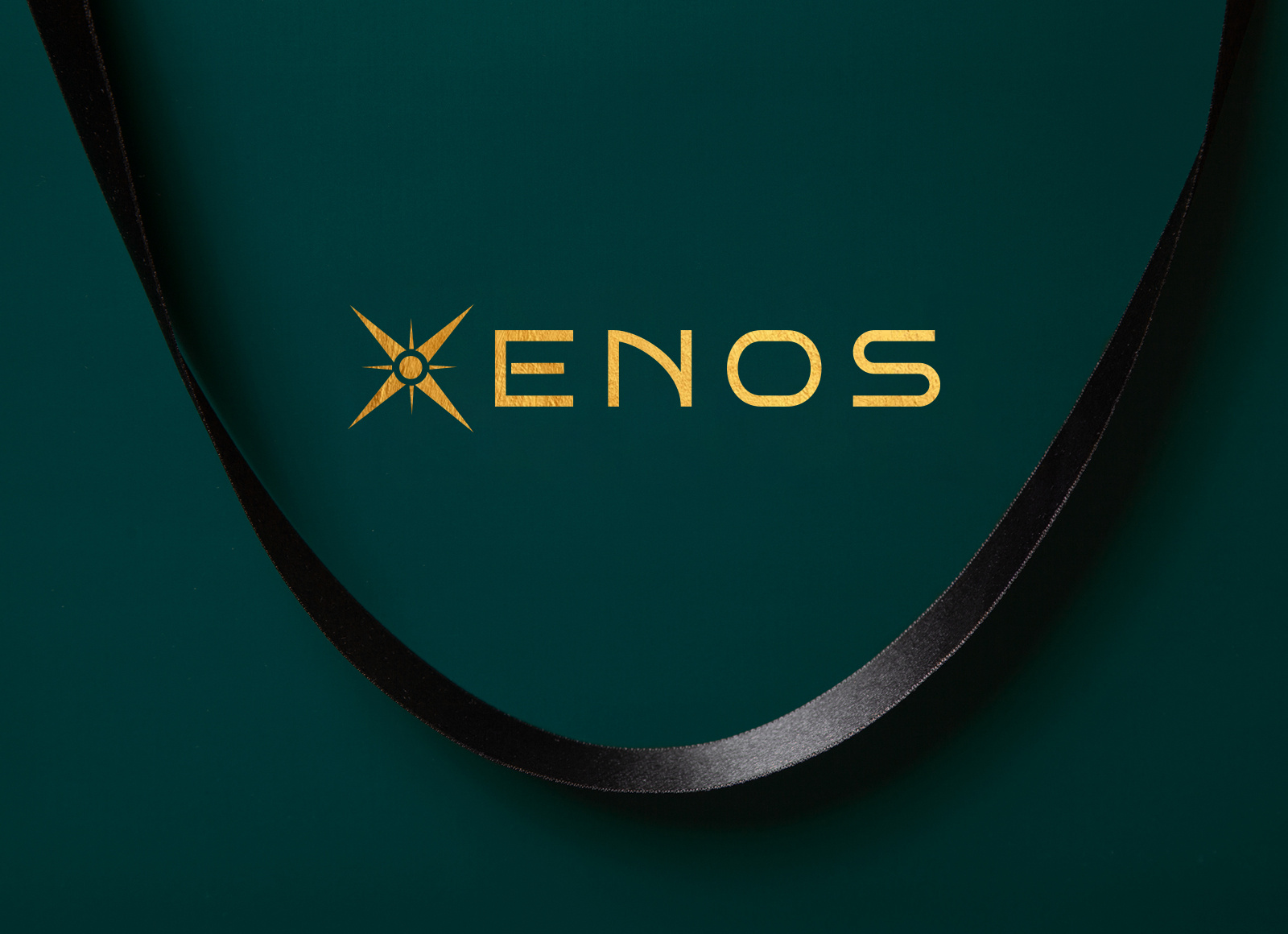 ENOS- Logo by Abeera usman on Dribbble