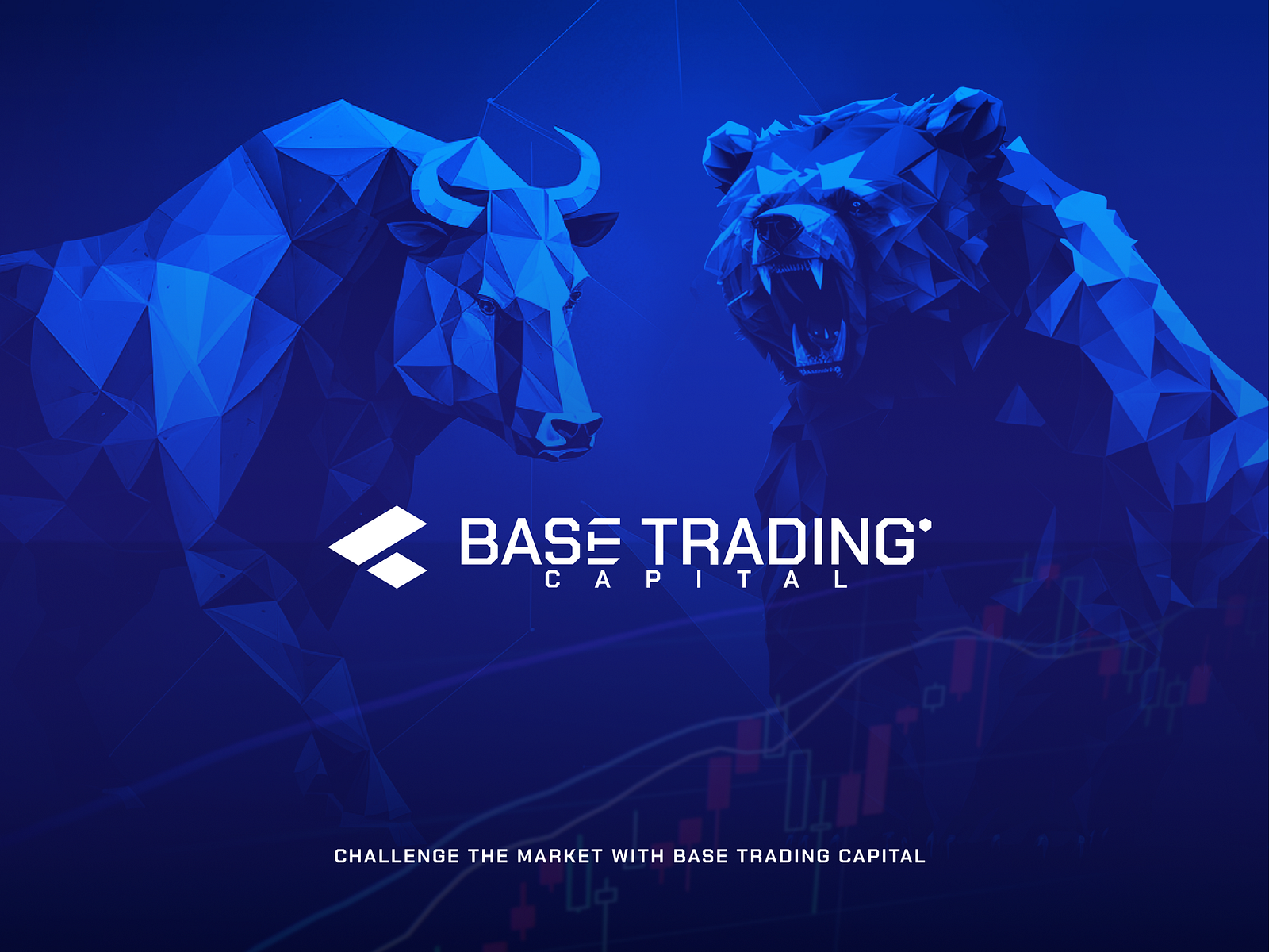 BTC Branding: Logo Design, Visual Identity, Illustration by Pixelz ...