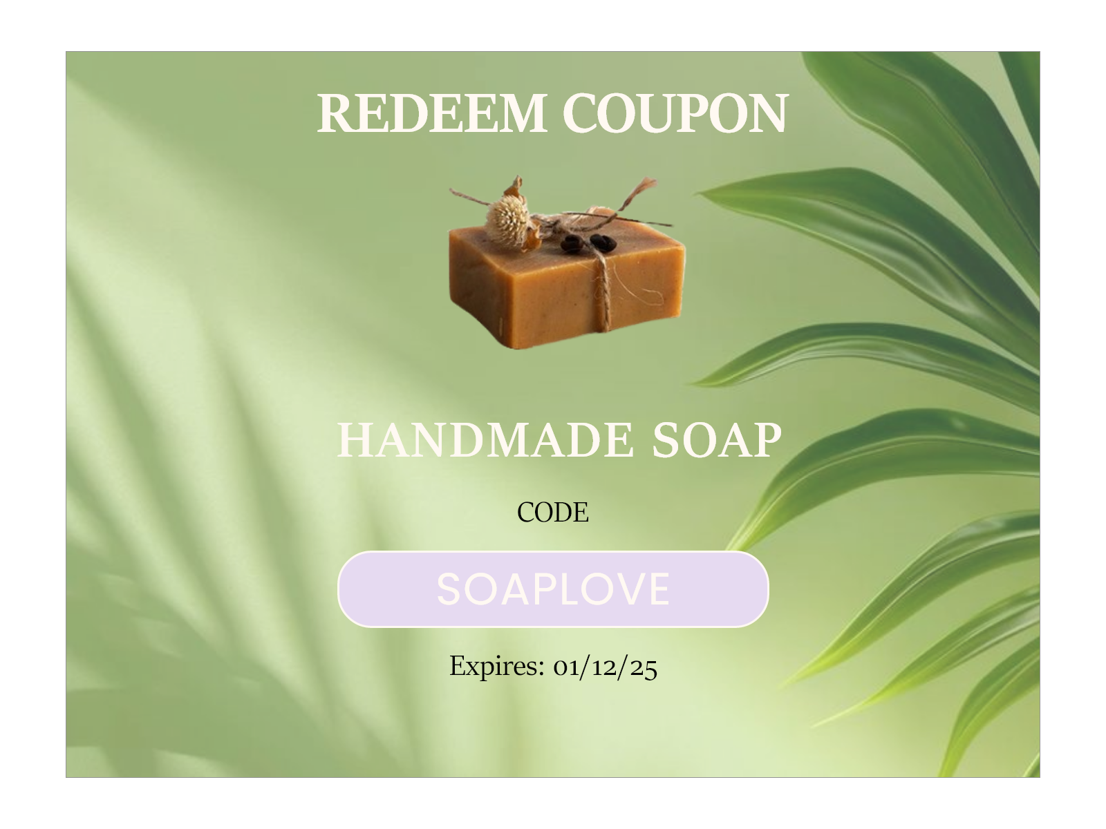 Redeem Coupon UI Design by Ishwarya on Dribbble