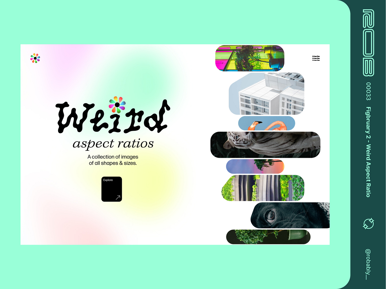 00033 Figbruary 2 Weird Aspect Ratio By Rob Daniels On Dribbble