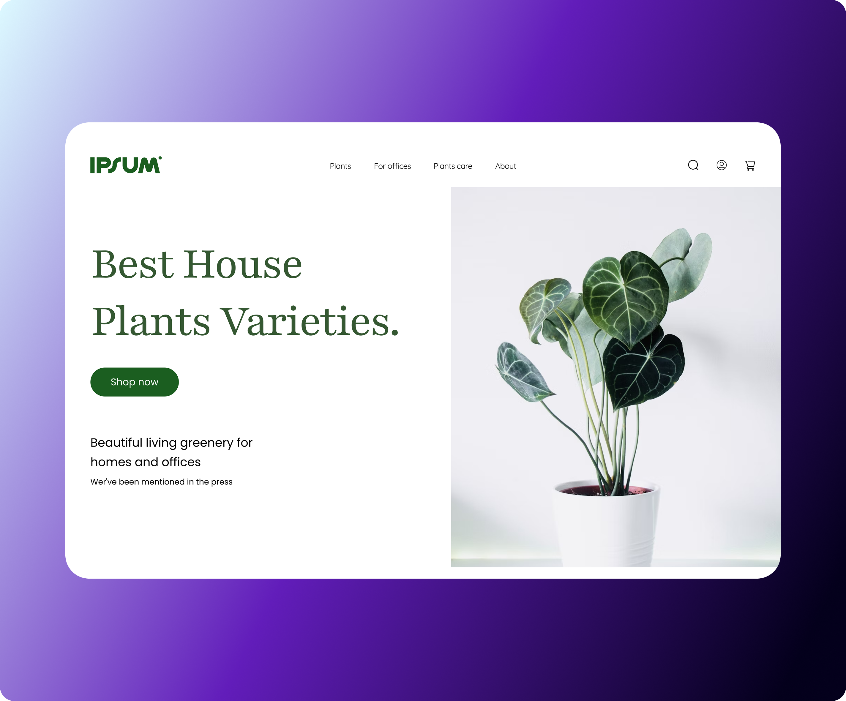 Plants Website Ui Design by Jay Devmurari on Dribbble