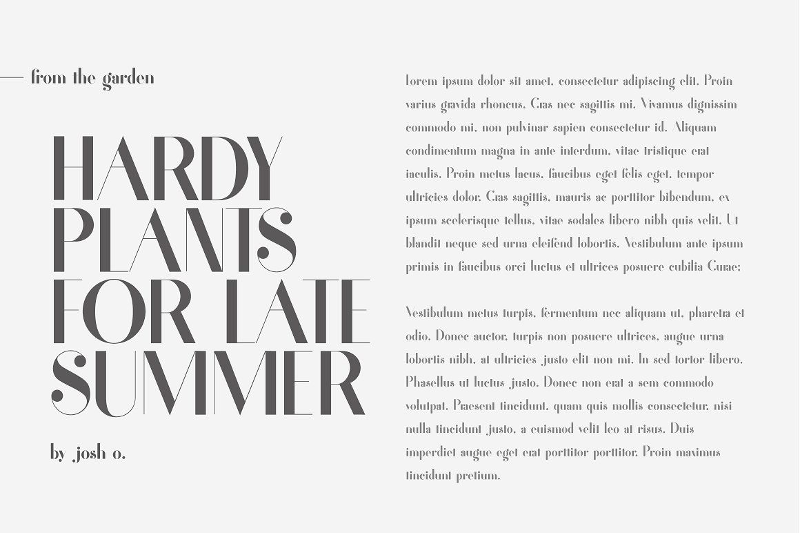 Fragile - A Delicate Typeface by Isabella Fame on Dribbble