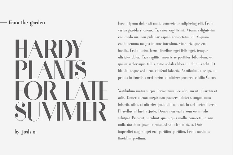 Fragile - A Delicate Typeface by Isabella Fame on Dribbble