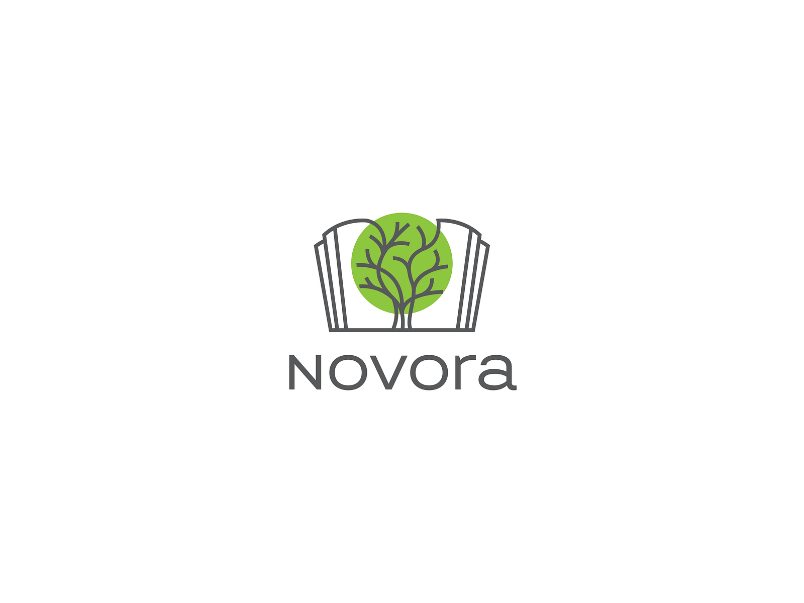 Novora by Eyronix on Dribbble