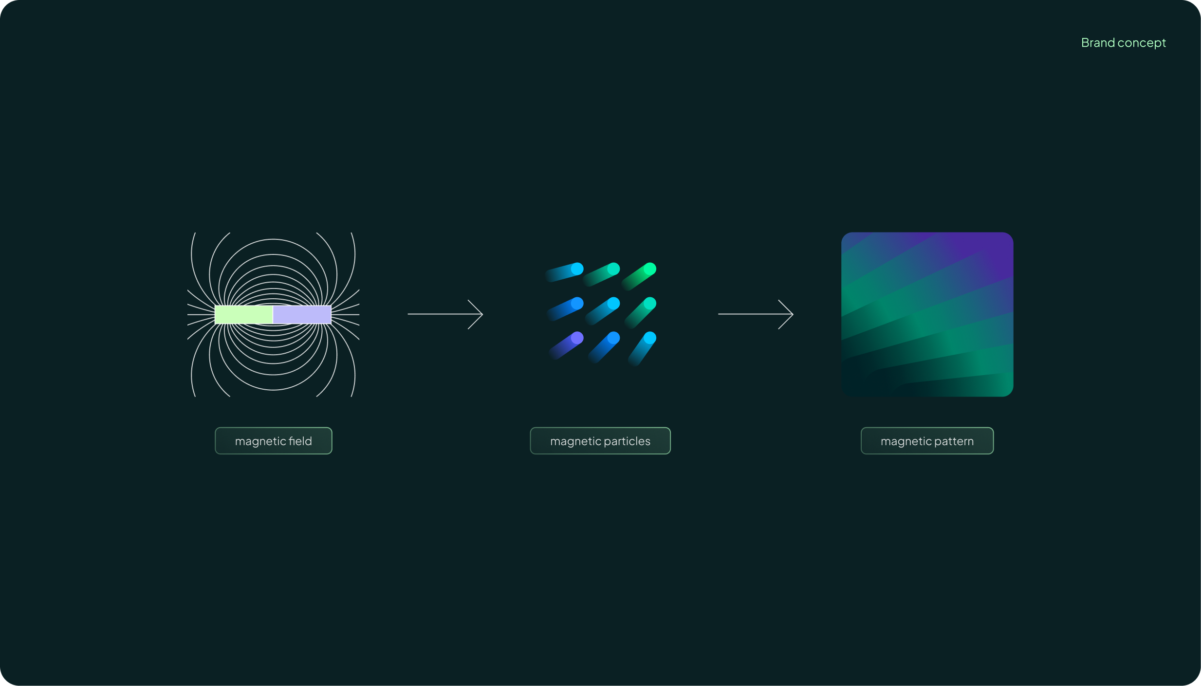 Loadstone branding by Olga Lantsova on Dribbble