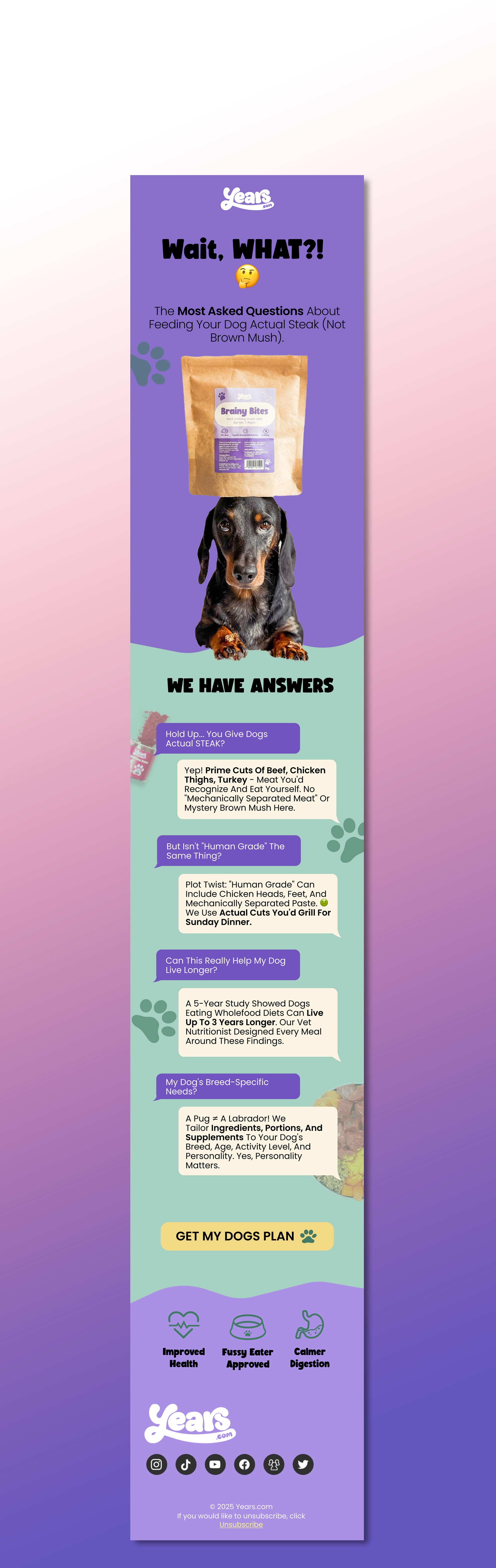 FAQ Email Campaign Design by Moin Zisun on Dribbble
