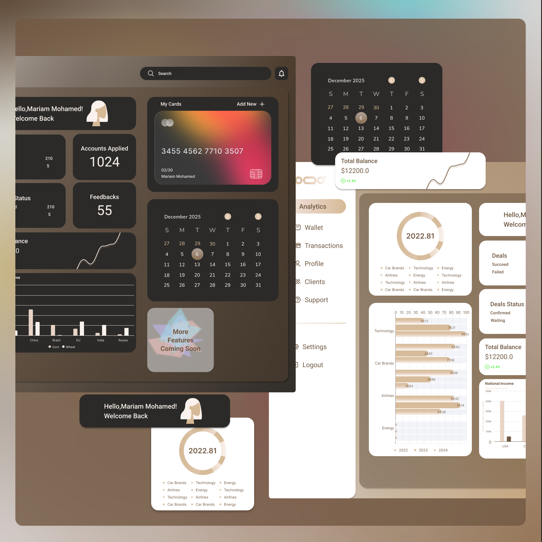 Financial Dashboard Case Study by Mariam Rashad on Dribbble