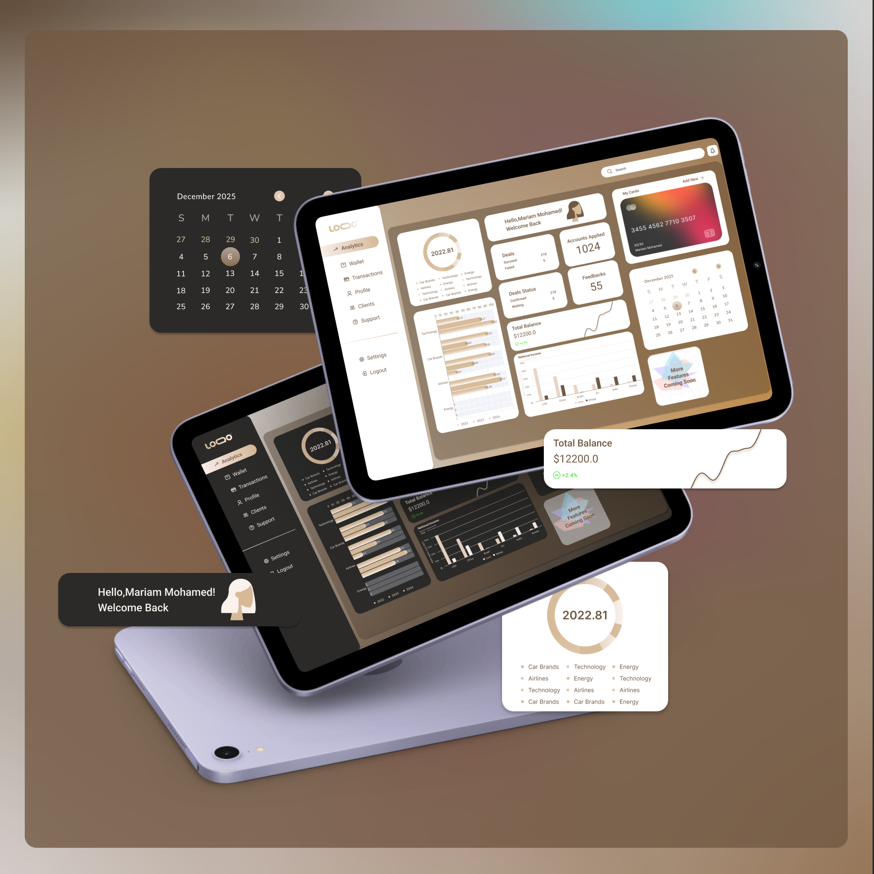Financial Dashboard Case Study by Mariam Rashad on Dribbble