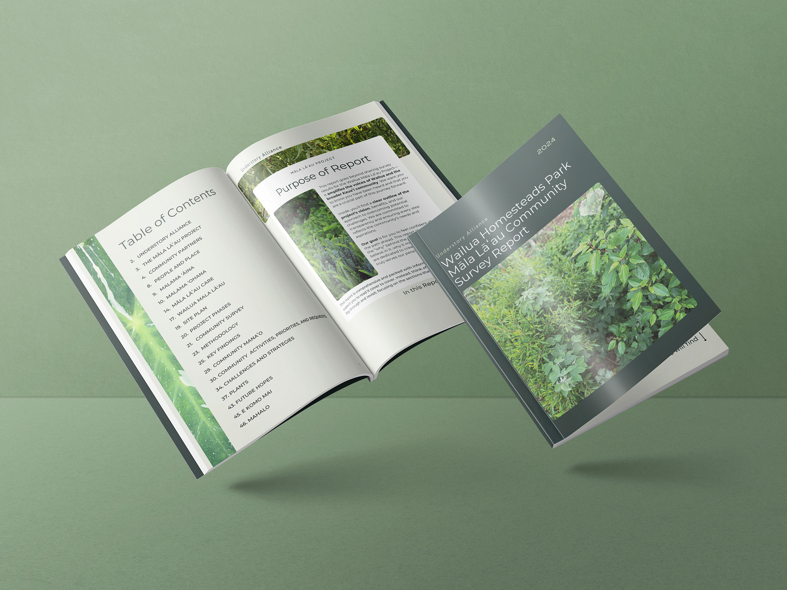 Understory Alliance Presentation Design by Pine Watt on Dribbble