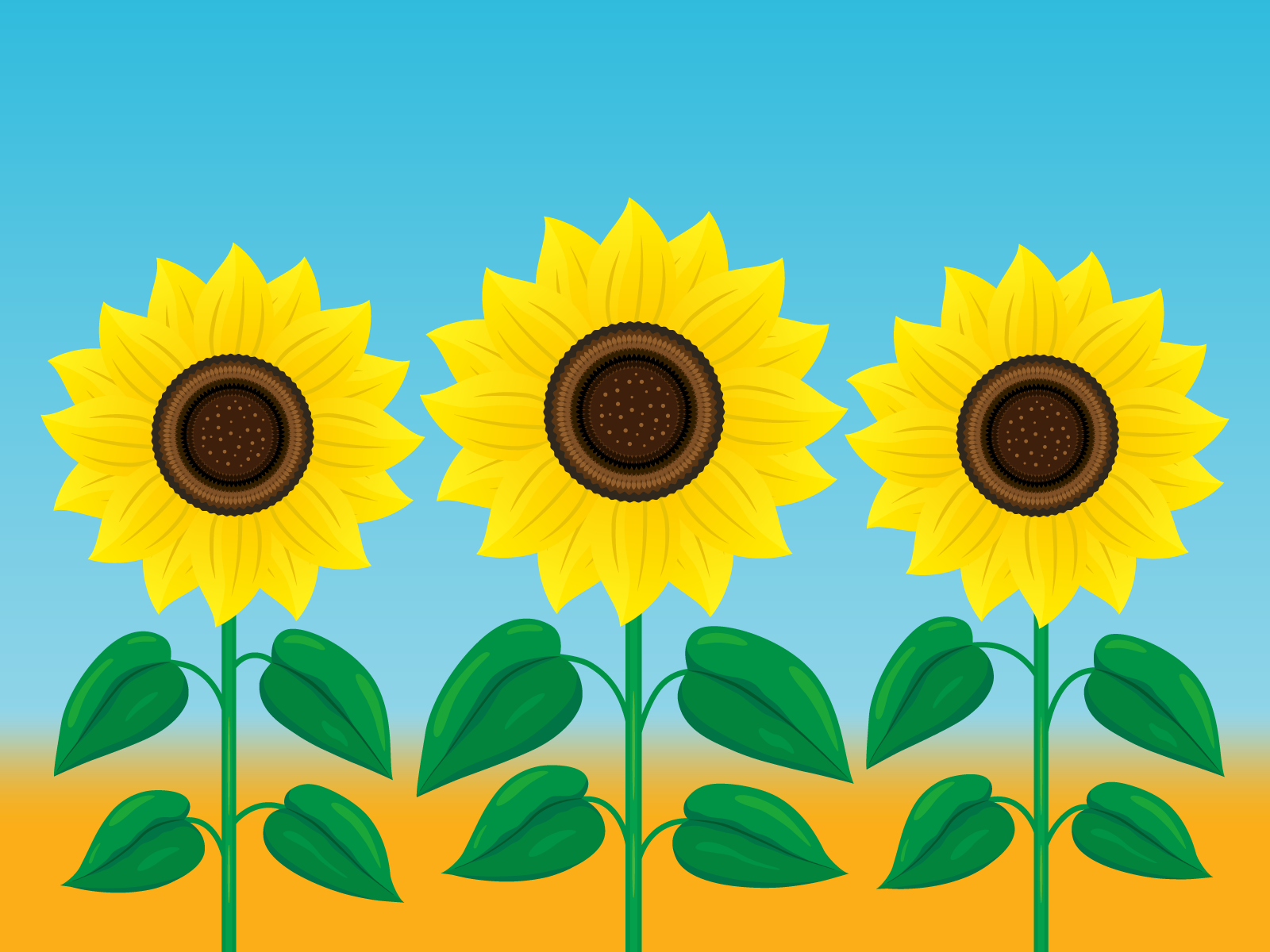 Sunflowers 🌻🌻🌻 by Elena Barskaya on Dribbble