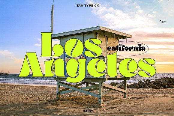 TAN - DAISY Display Font by James Brown on Dribbble