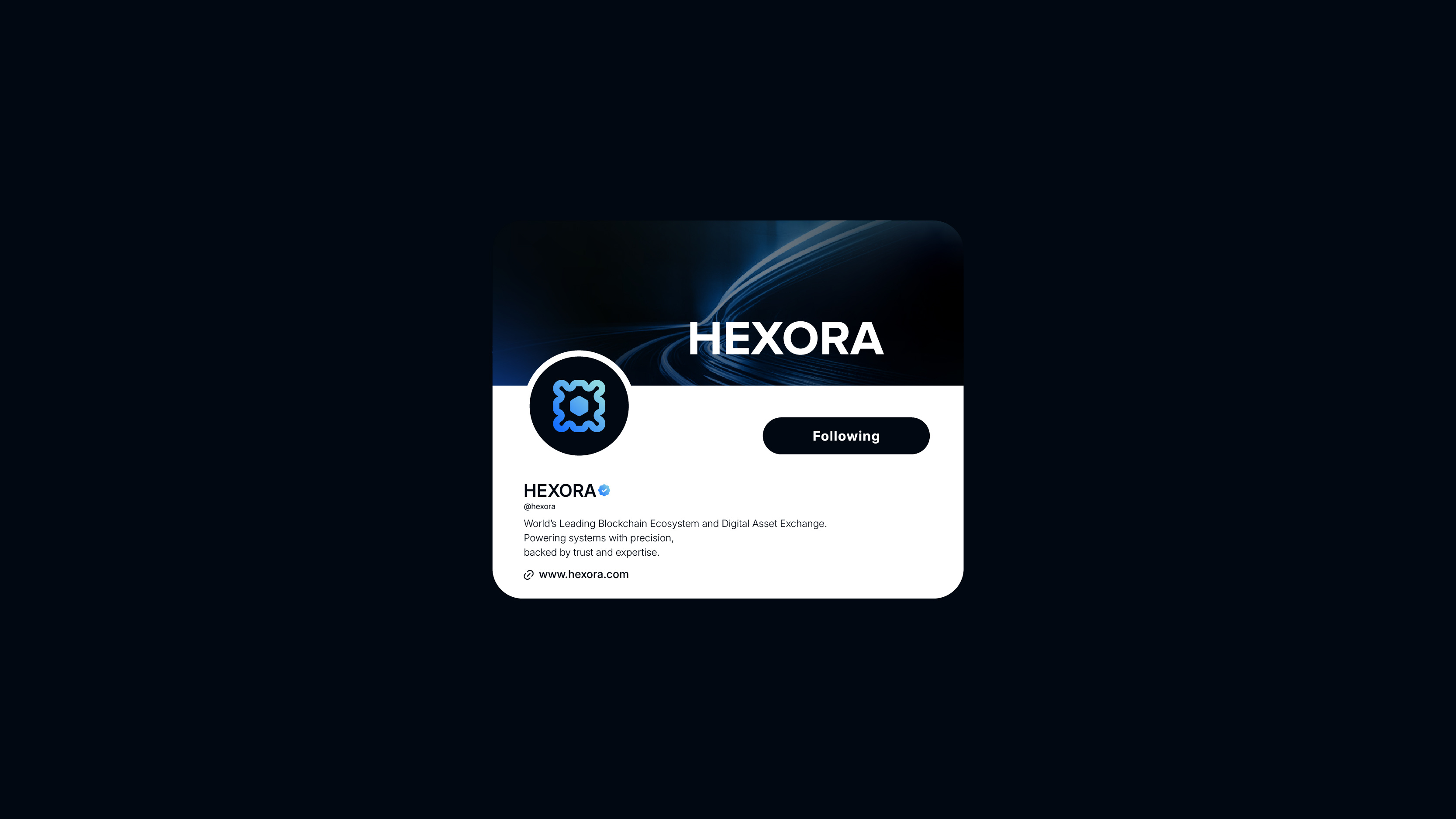 Hexora - Hexagon Logo Design for Web3, AI, Tech Startup by Nazmul Hossan | Freelance Brand ...