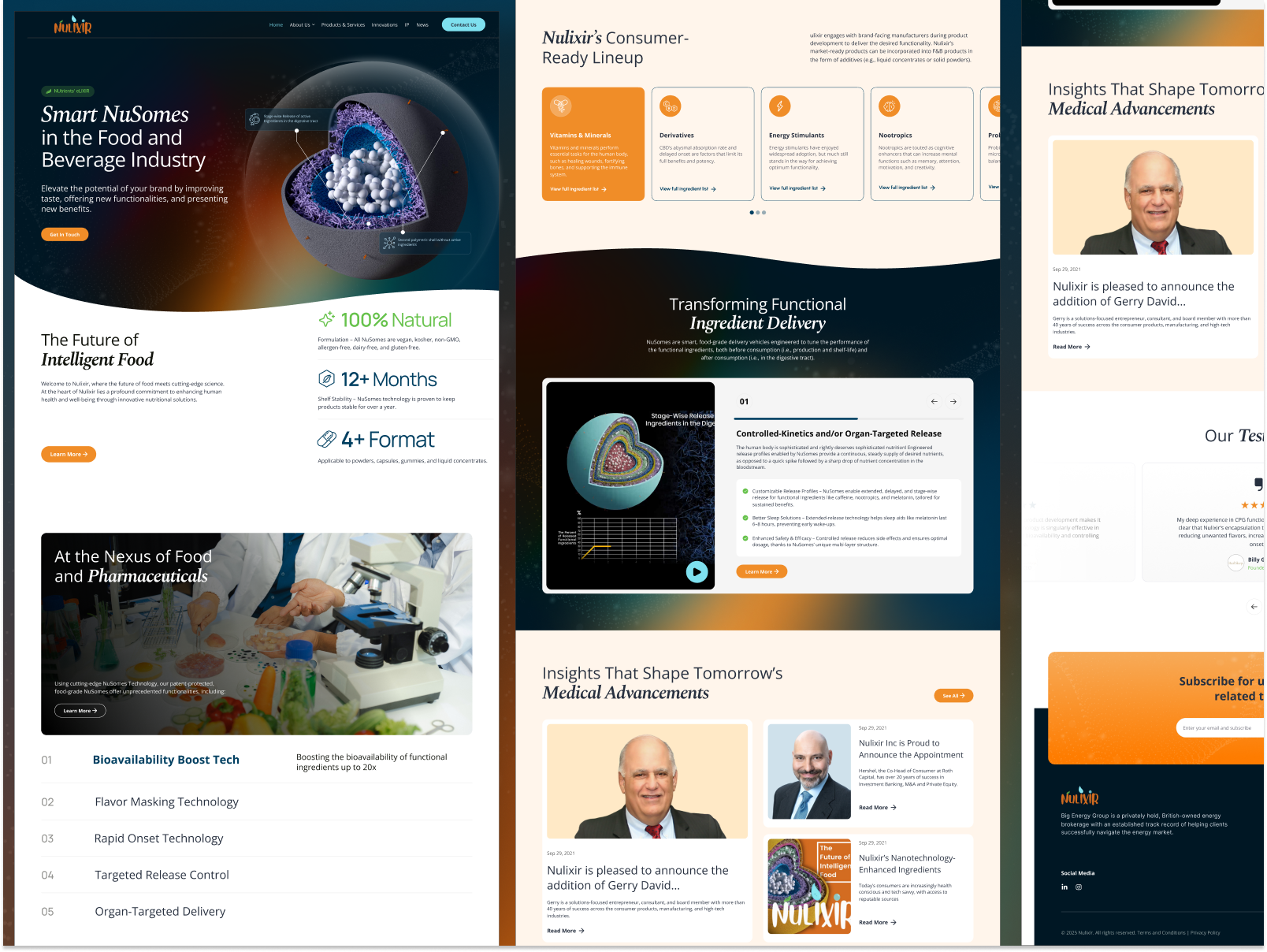 Nulixir Website Design and Development for Landing page Webflow. by Shakil Ali on Dribbble