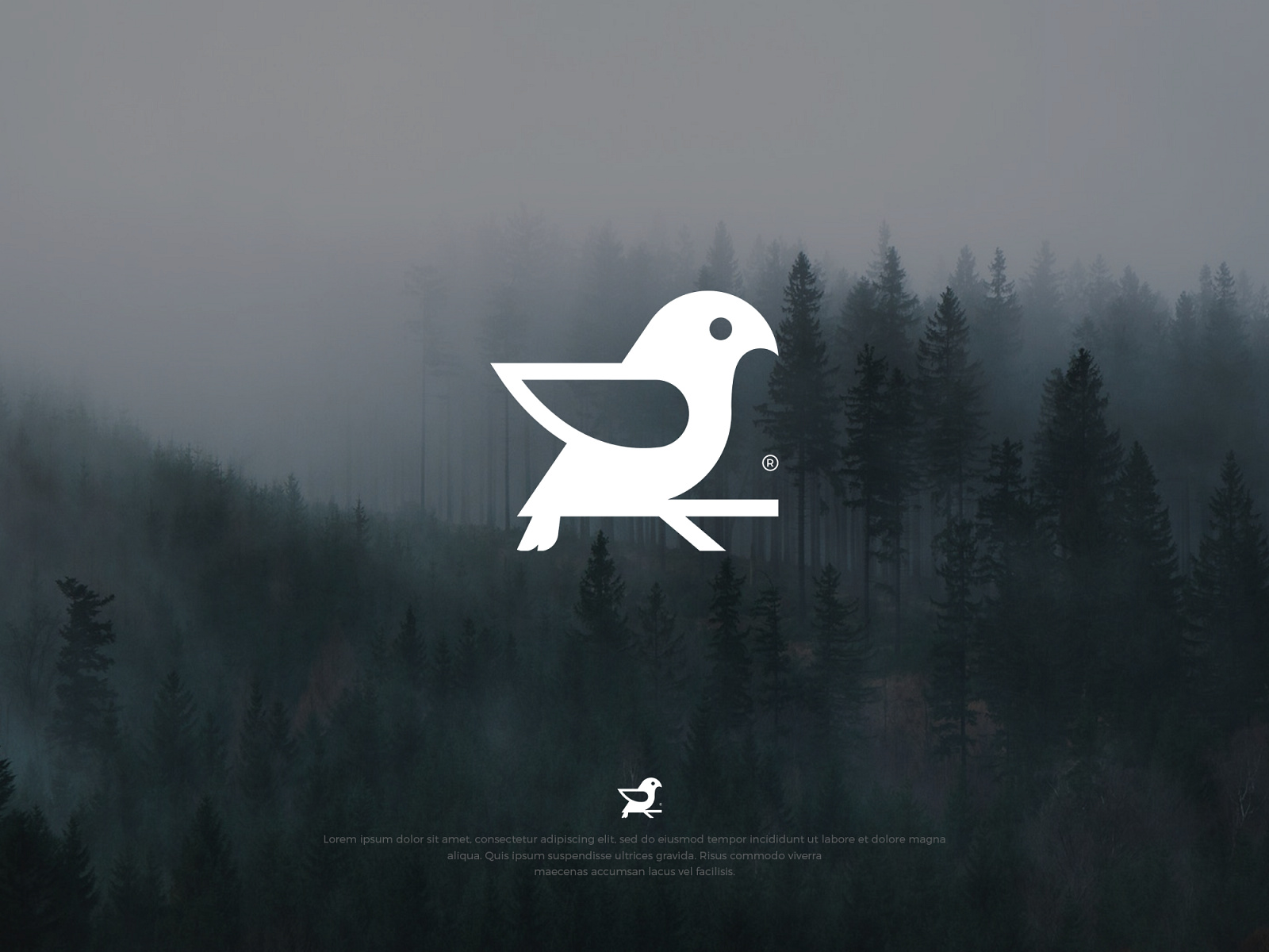 Bird, Minimal Logo Concept by Istiaque Ahammed on Dribbble