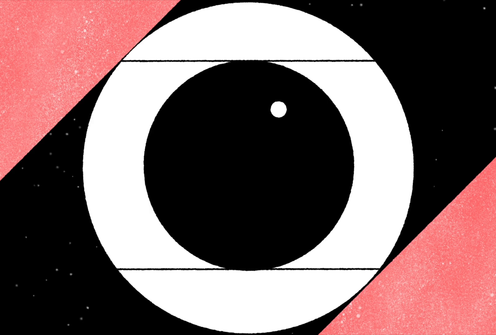animation motion graphic design by mohammed ayoub trif on Dribbble