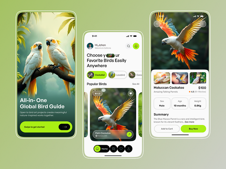 Birds Mobile App by Harunur Rashid on Dribbble